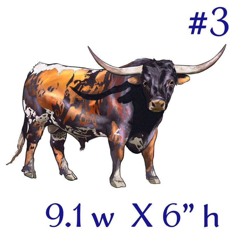 Texas Long Horn Bull, Cow, Calf Sticker, 4 Different Sizes, Indoor or ...