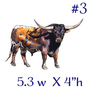 Texas Long Horn Bull, Cow, Calf Sticker, 4 Different Sizes, Indoor or ...