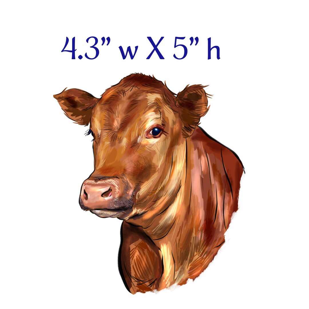 Red Angus Cow Head Sticker, 4 Different Sizes, Indoor or Out Door Use ...