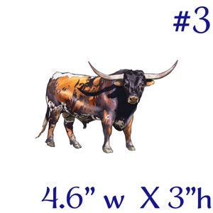 Texas Long Horn Bull, Cow, Calf Sticker, 4 Different Sizes, Indoor or ...