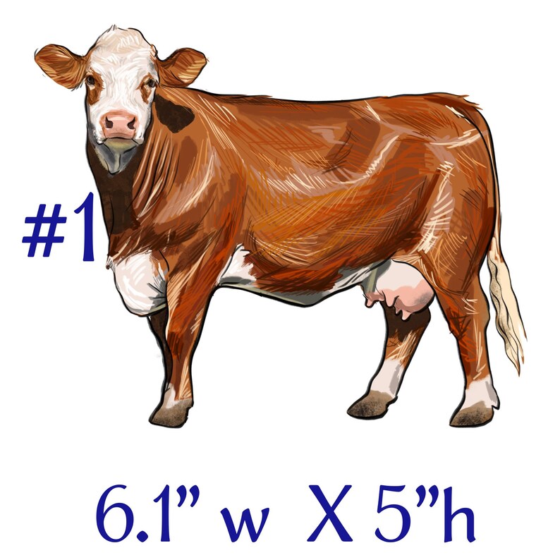 Simmental Bull & Cow Stickers, 4 Different Sizes, Indoor or Out Door ...