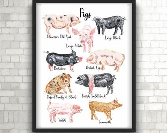 Pig Print | Etsy