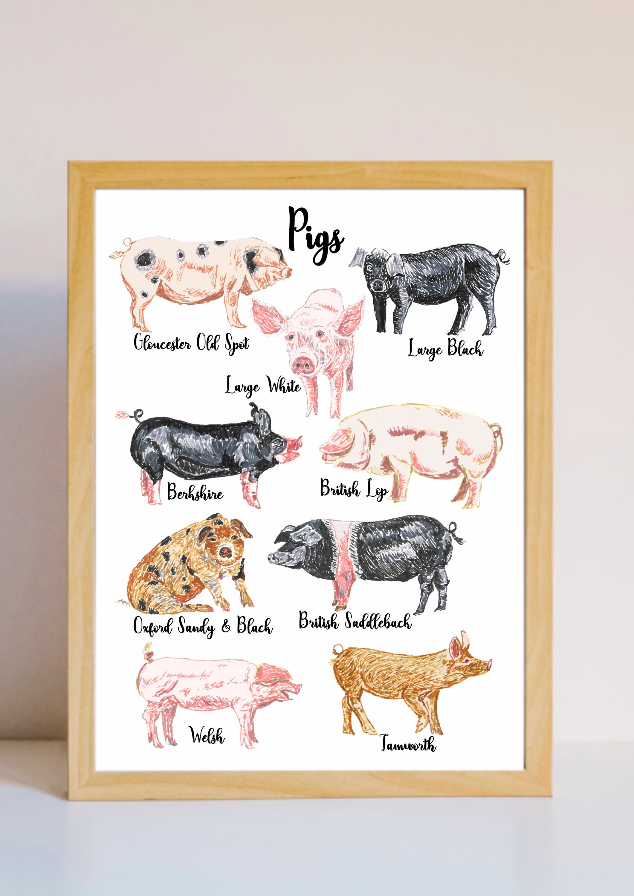 Pig breeds print Pig print Pig poster Farm animals Pig | Etsy