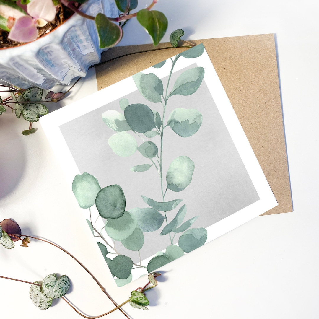 Eucalyptus Greetings Card Botanical Nature Watercolour Illustration - Etsy