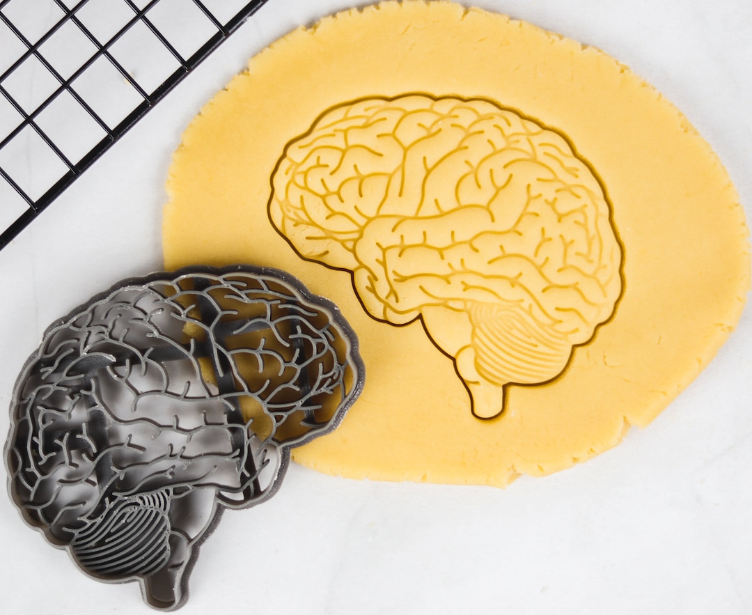 Anatomical Brain Cookie Cutter, Gifts for Medical Students and Science ...