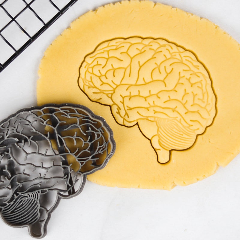 Science Cookies - Etsy