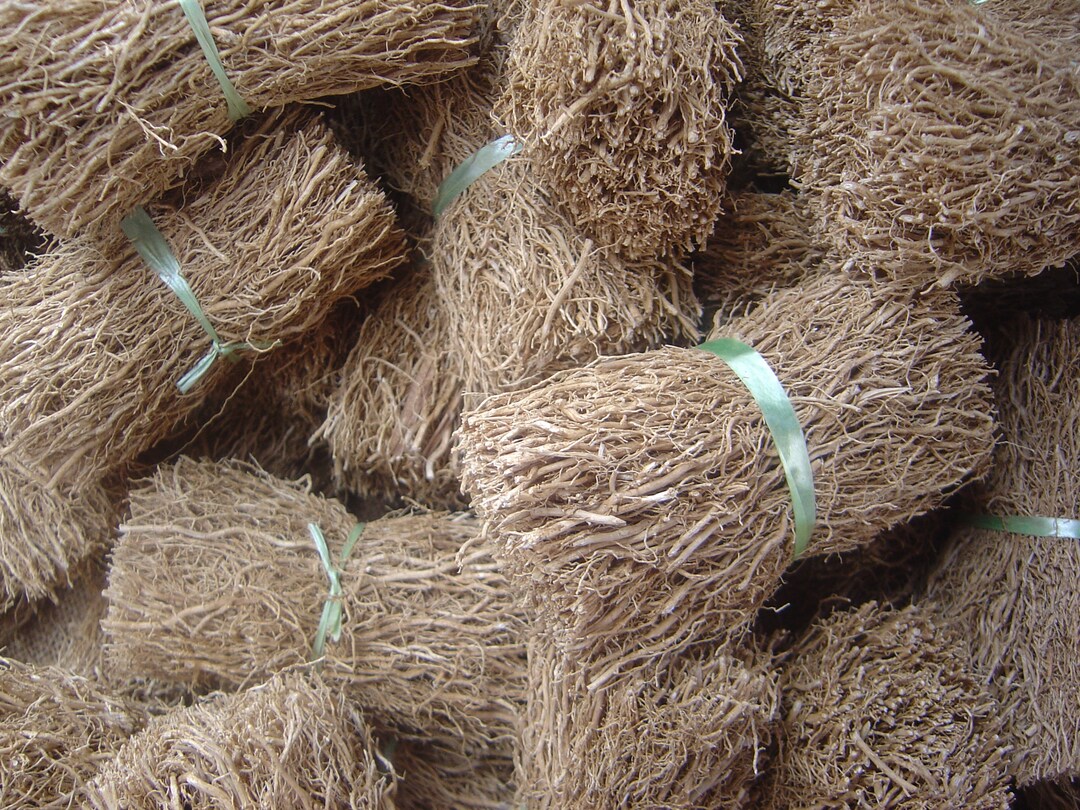 Vetiver Essential Oil - Vetiveria Zizanioides - Indonesia - Etsy