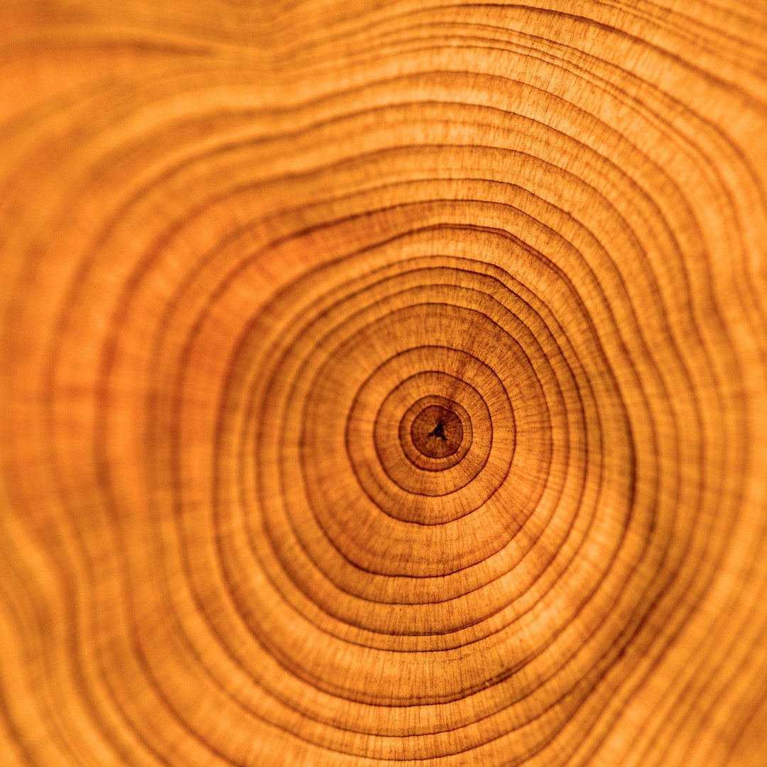 Santal King - Rare Srilankan Sandalwood Heartwood Oil From 60 Year Old ...