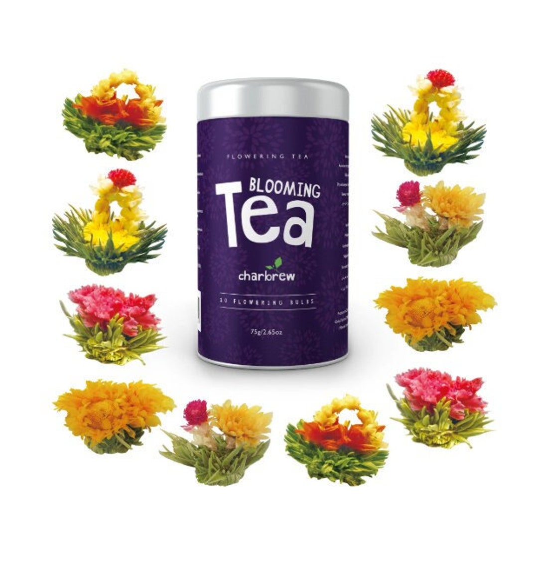 10x Flowering Tea Bulb by Charbrew Different Blooming Tea Flowers ...