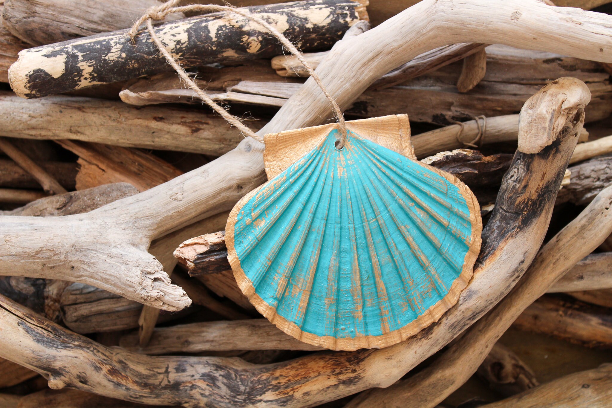 Scallop Shell Hanging Home Decoration Seaside Home Decor | Etsy