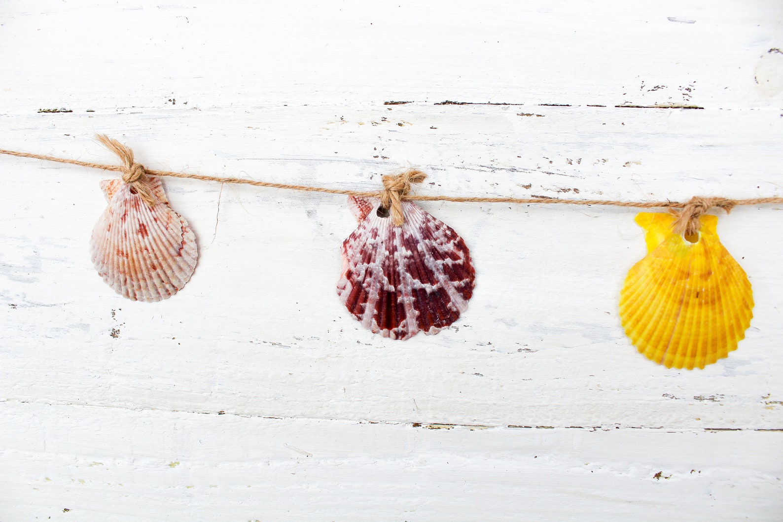 Mini Scallop Shell Bunting Garland on Twine Seaside Nautical | Etsy