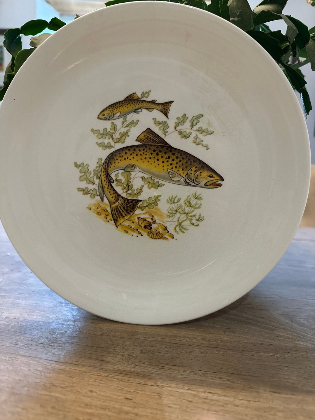 Crown Devon Fieldings Fish Dinner Plate - Etsy