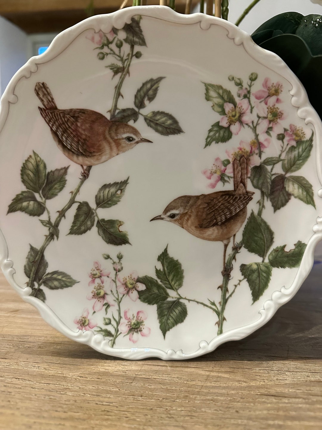 Summer Song Plate by Royal Albert From the Country Walk Collectionn - Etsy