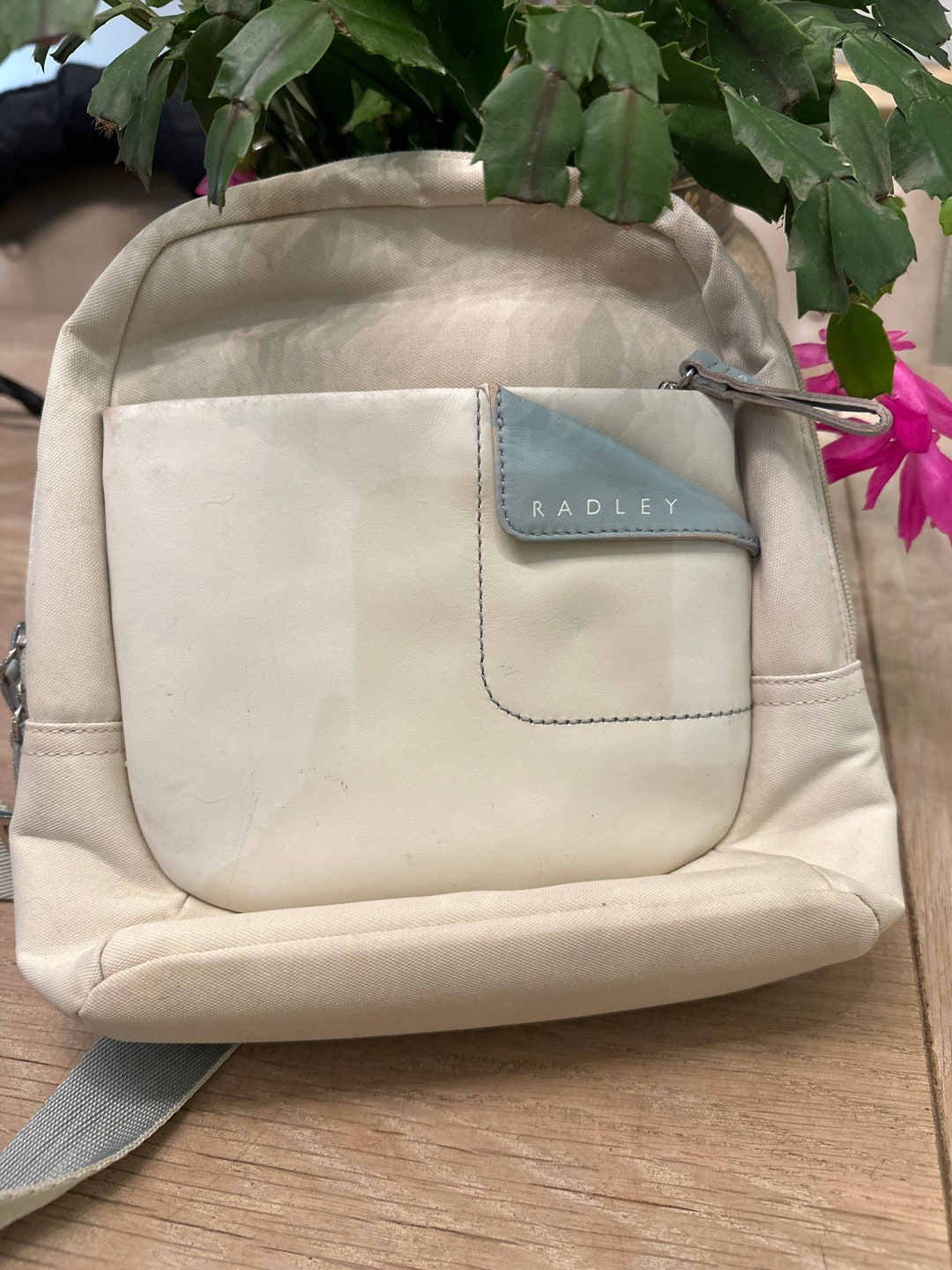 Radley Designer Backpack in Cream and Pale Blue Leather With Material ...