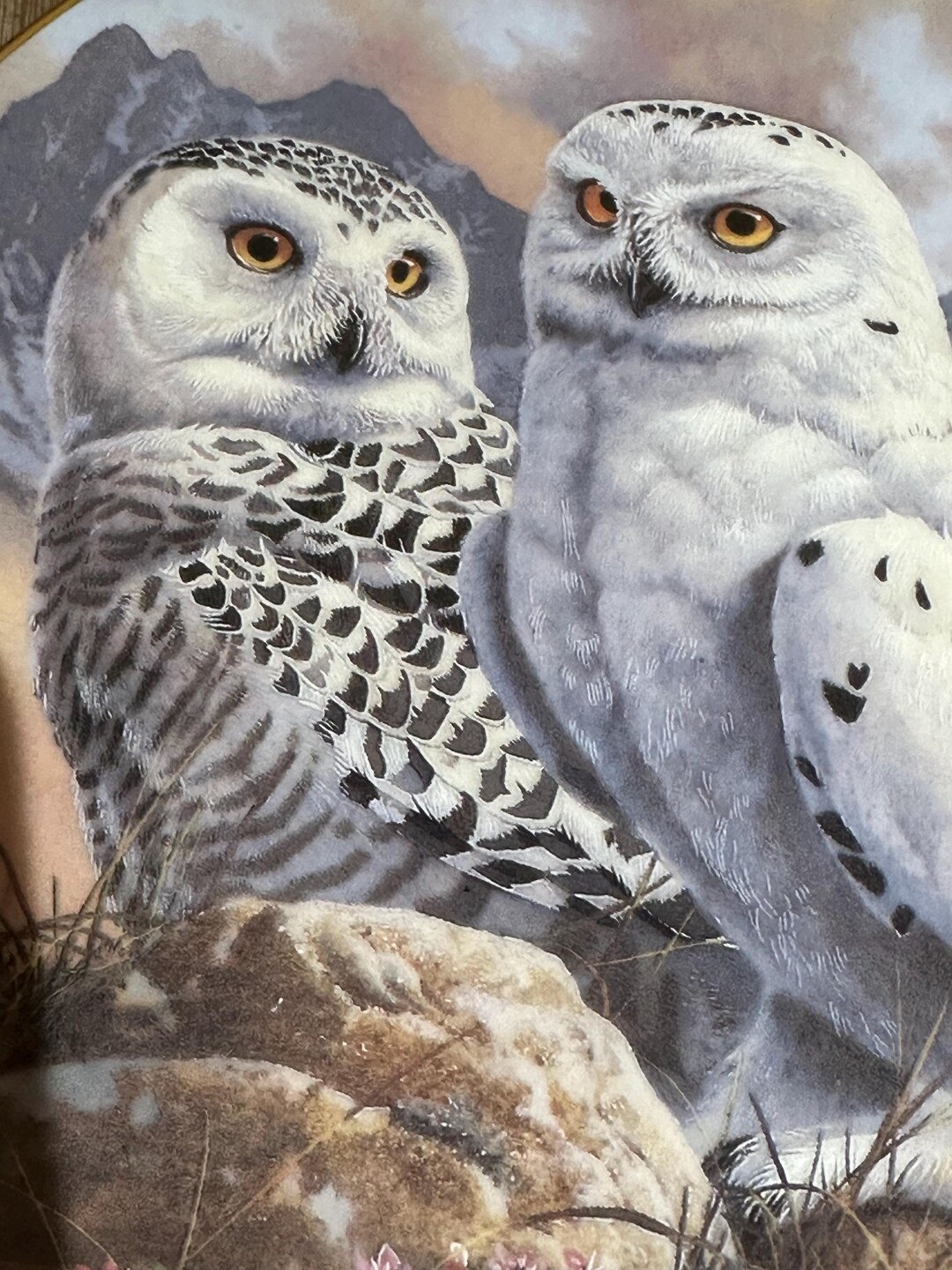 Royal Doulton Snowy Owls Plate 1994 - Etsy