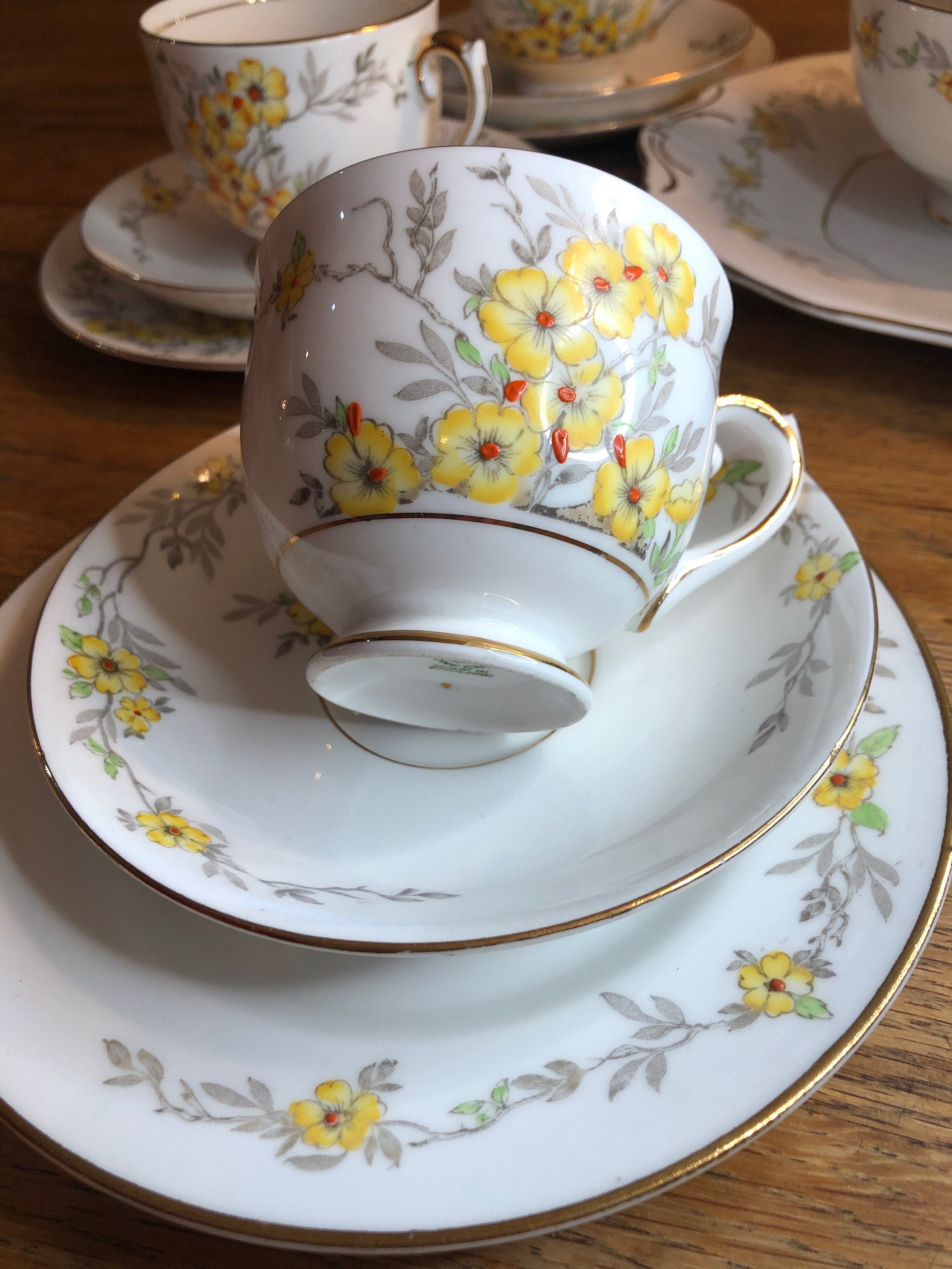 Salisbury Fine Bone China Made in England Vintage Collectible - Etsy