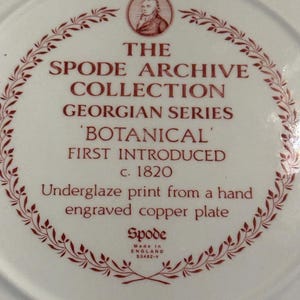 Spode Georgian Series Vintage Collectible 10.5 Diameter Plate. - Etsy