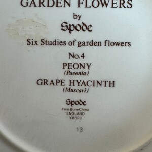 Spode Garden Flowers Plate - Etsy