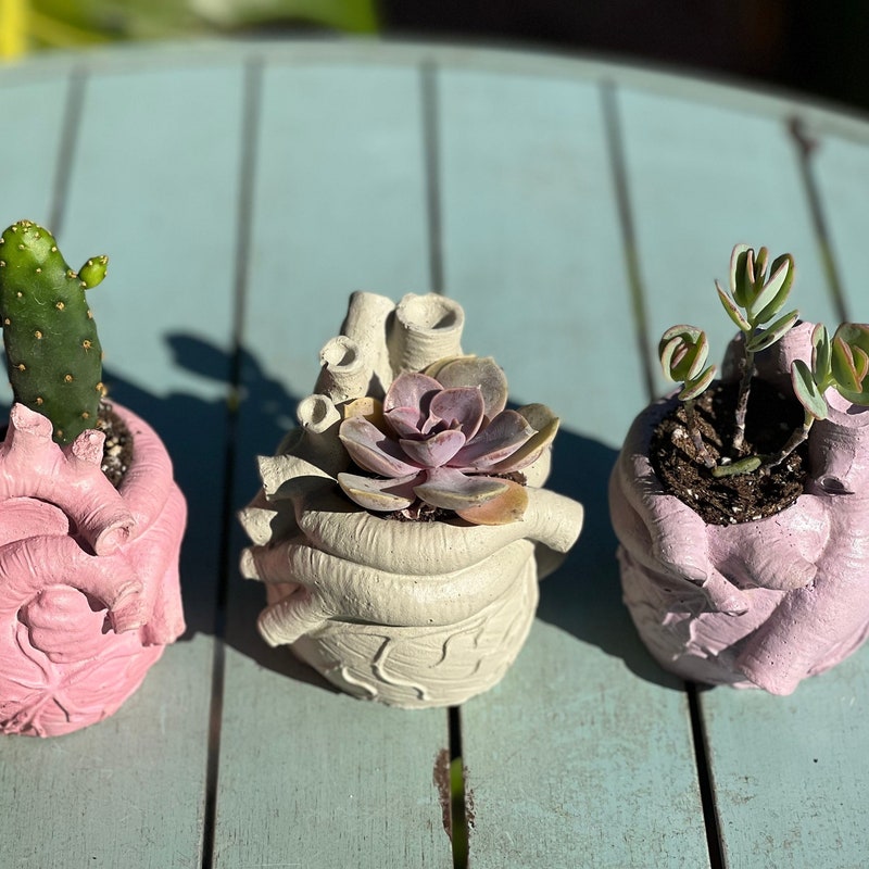Heart Flower Pot - Etsy
