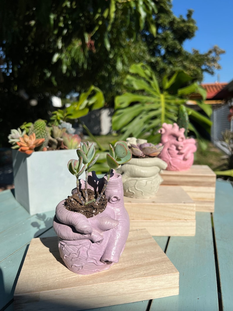 Anatomical Heart Concrete Planter: Gothic Succulent Home Decor - Etsy