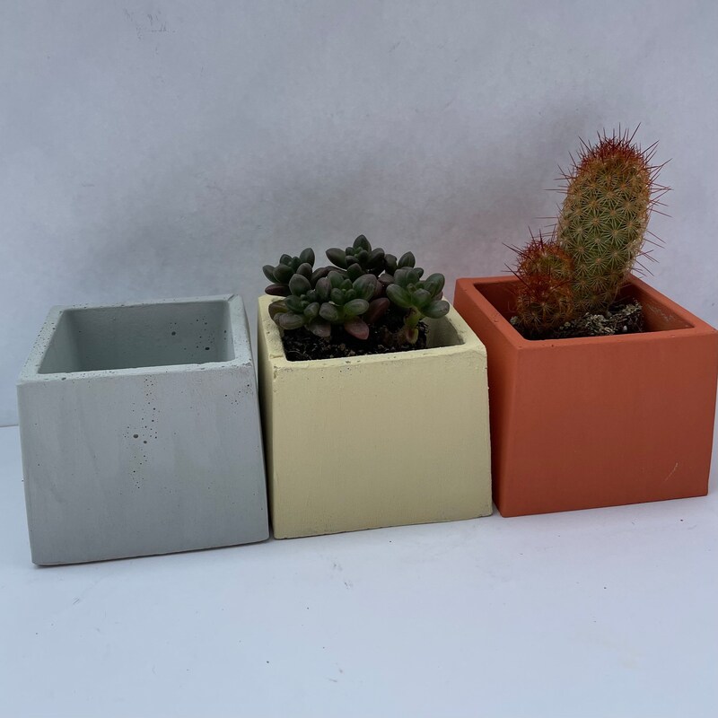 Small Terracotta Pots - Etsy