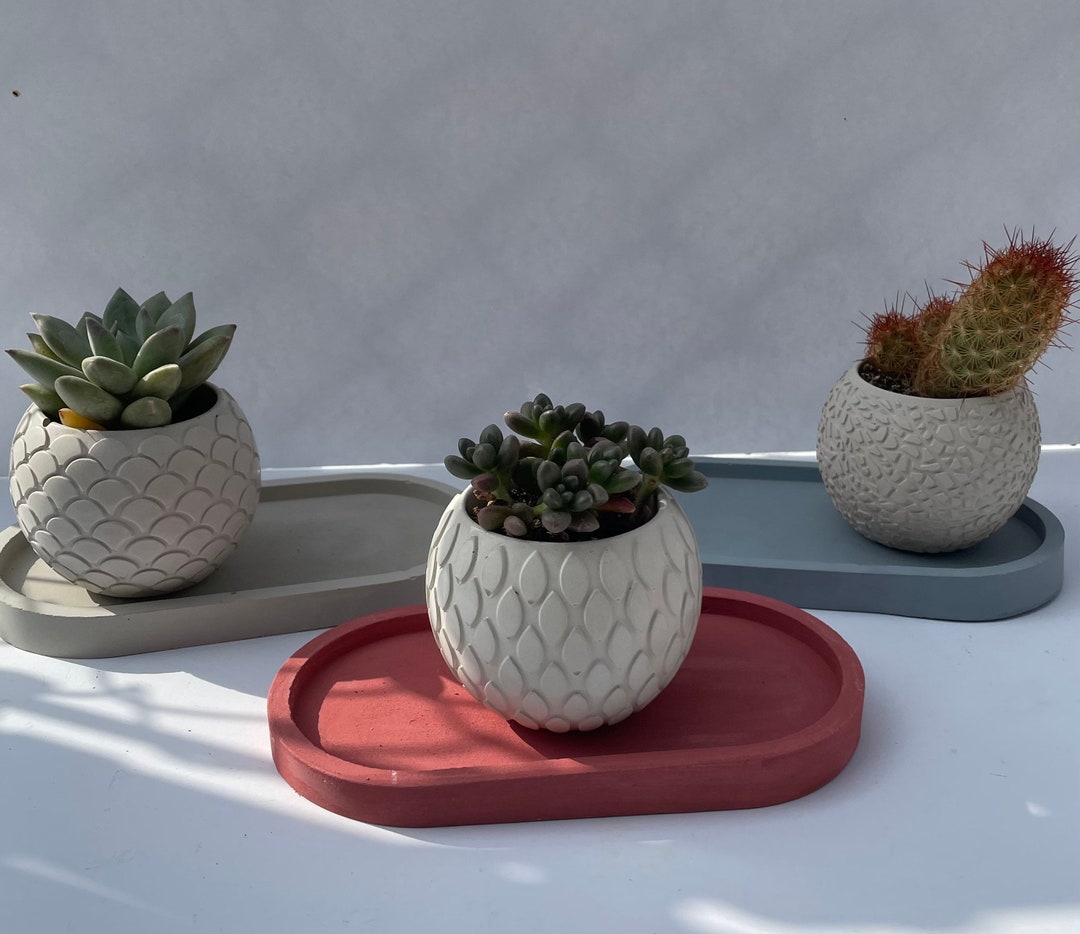 Flower Pot With Decorative Tray Gift Set - Etsy