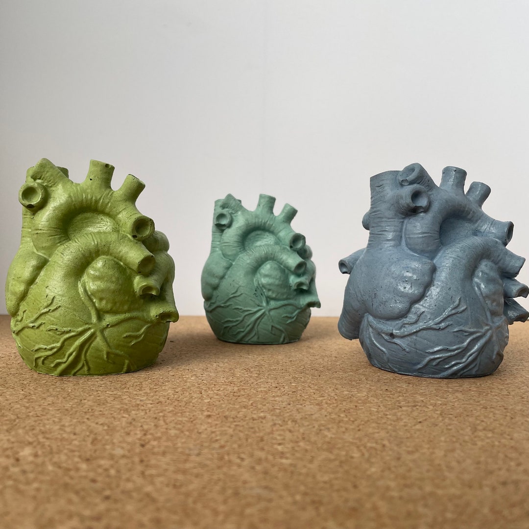 Human Anatomical Heart Shape Planter Handmade From Concrete - Etsy
