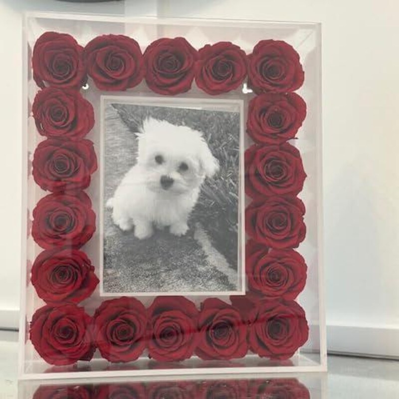 Rose Frame - Etsy