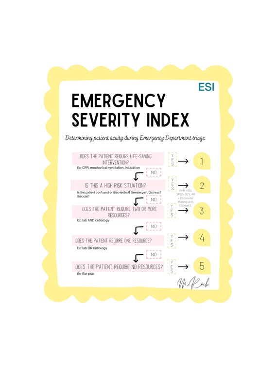 ESI Emergency Severity Index Flowchart Nursing ER Cheat | Etsy Hong Kong