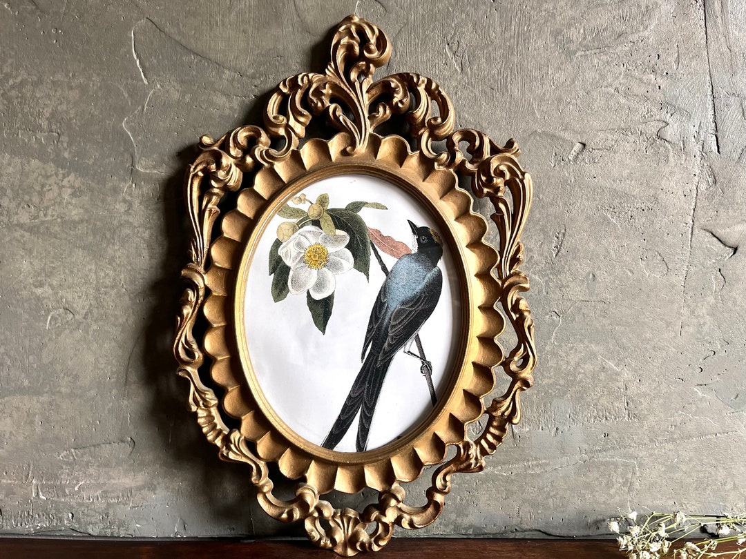 Vintage Italian Syroco Ornate Gold Wall Frame W/ Bird Print - Etsy