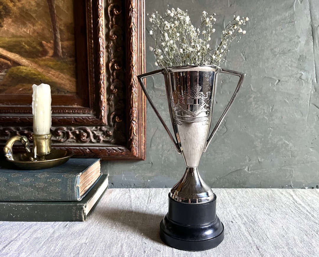 Adorable Vintage Silver Trophy Vase W/ Etched Lion and Shield Design - Etsy
