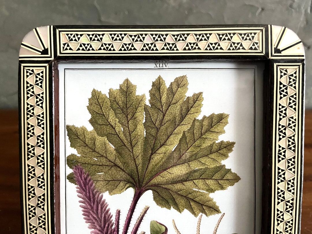 Vintage Decorative Iridescent Bone Inlay Wood 5x7 Frame - Etsy
