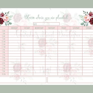 Horizontal Floral Weekly Schedule, Daily Schedule, Hourly Time Blocking ...