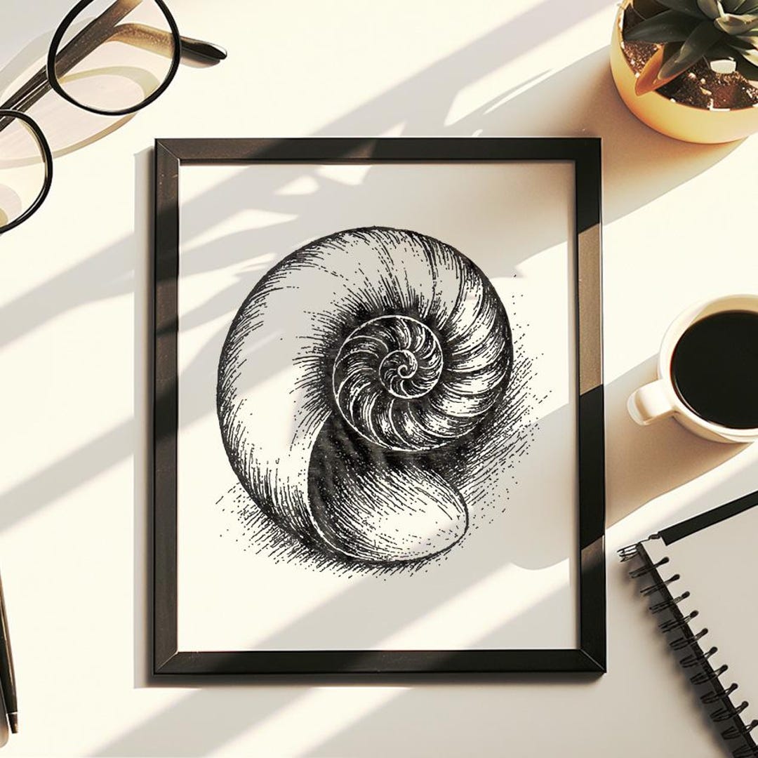 Hand Drawn (not a Print) Nautilus Shell Framed Pen & Ink Art Drawing ...