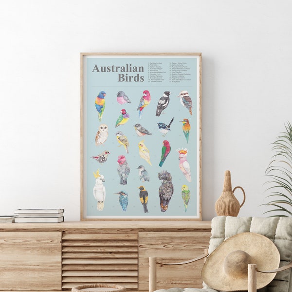 Bird Poster - Etsy Australia