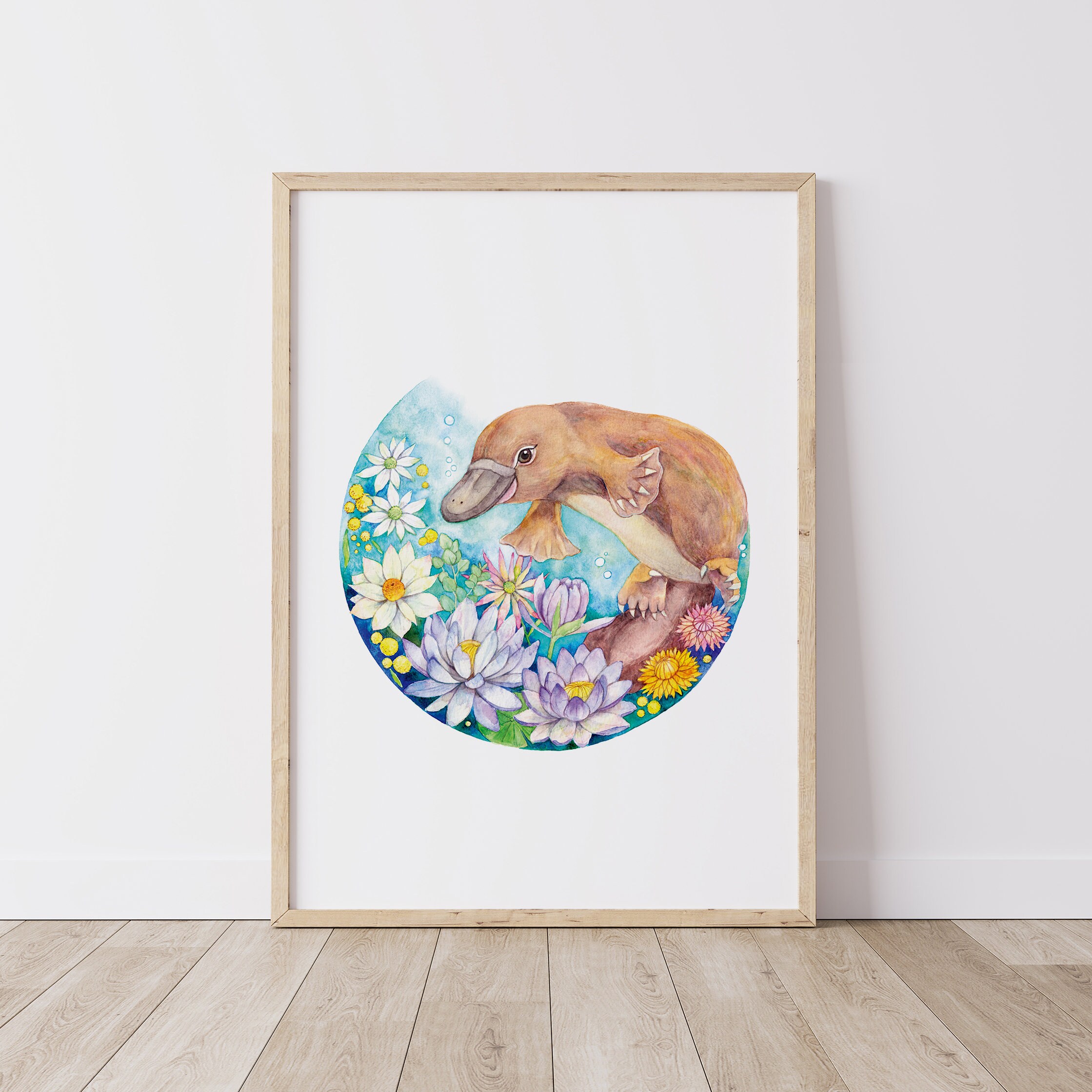 Australian Animals Postcard Set: Tasmanian Devil Koala - Etsy Australia