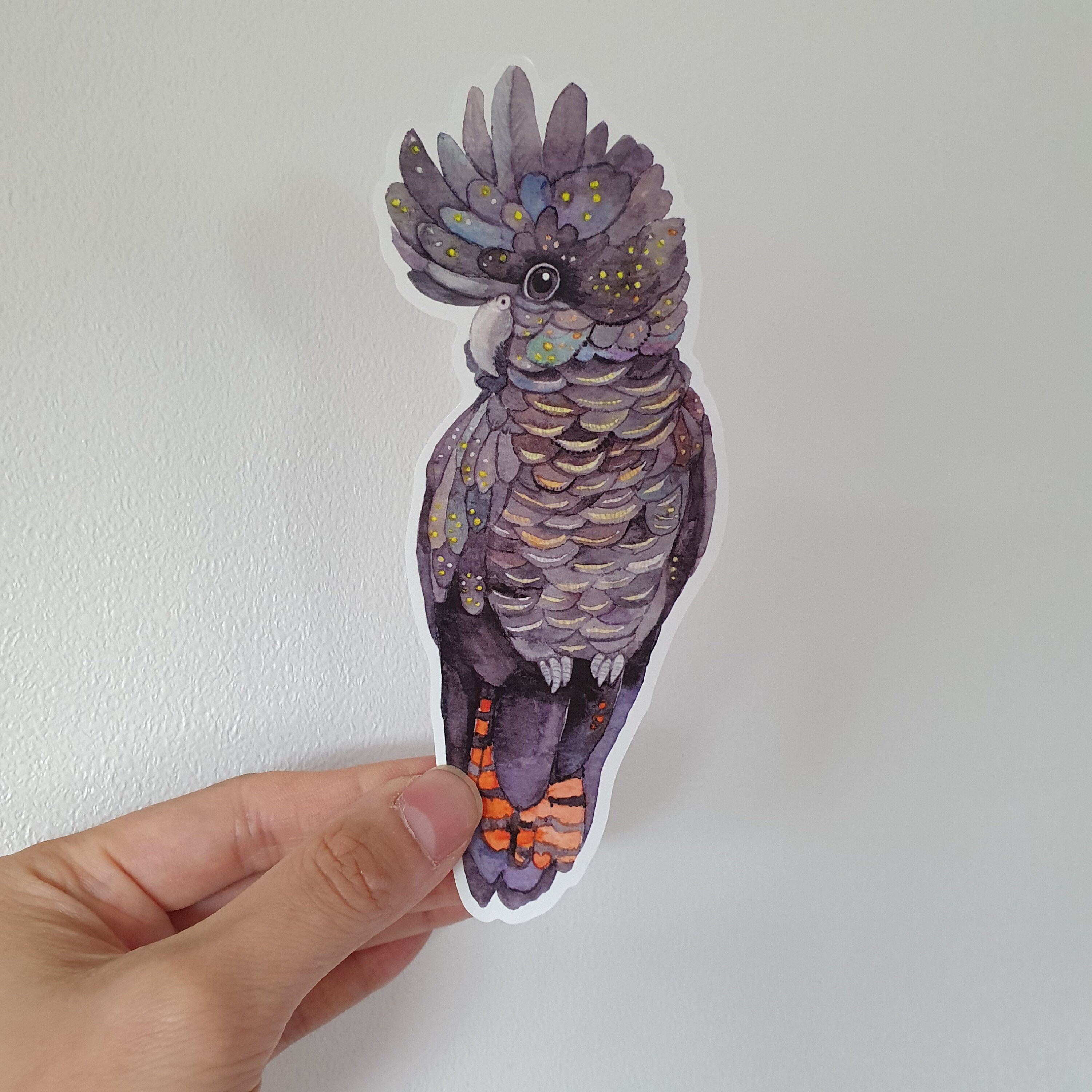 Australian animal sticker — Unique and fun Australian themed products