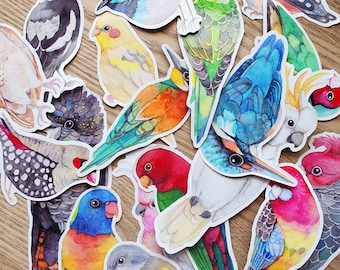 Paper Australian Bird Sticker Sheet A5 size Matte Laminated Duck Magpie ...
