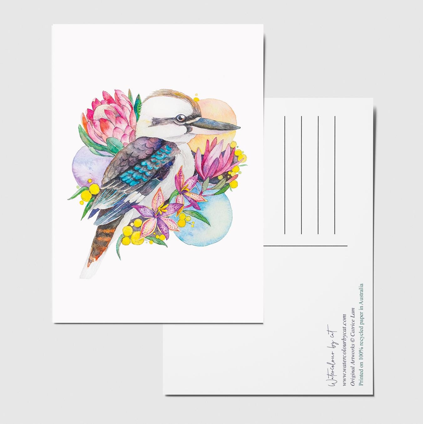 Australian Birds Postcards Set: Watercolor Art, Native Aussie Wildlife ...