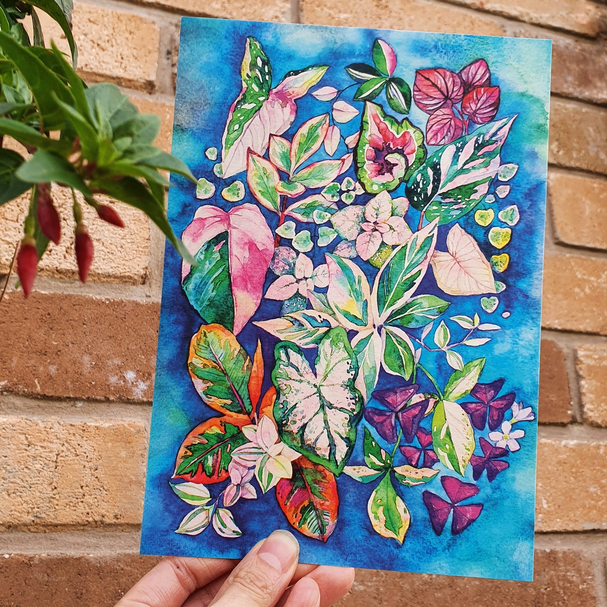 Shop — Watercolour by Cat