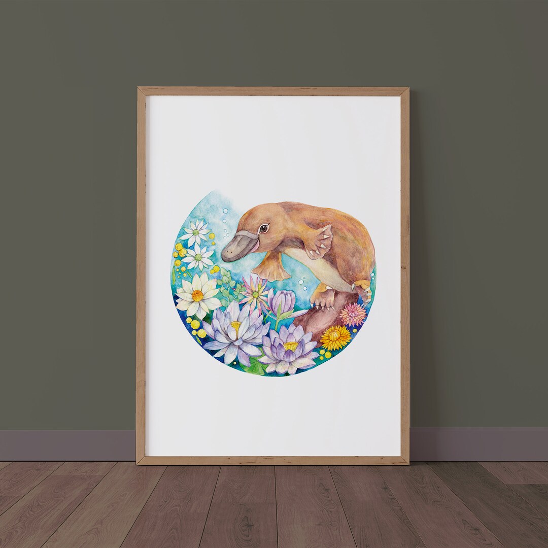Platypus Watercolour Art Print, Australian Natives Plant Drawing, Wall ...