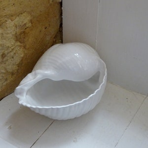 Vintage White China Shell Shaped Planter White Shell Ornament Shell ...