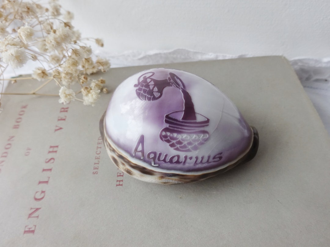 Vintage Carved Tiger Cowrie Shell Aquarius Jan 20 Feb 18 Spotted Cowrie ...