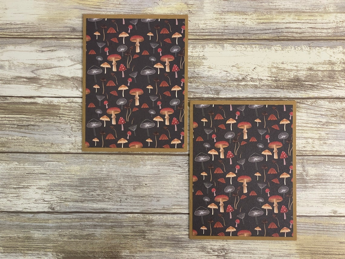 Mushroom Cards Note Card Set With Envelopes Nature Note | Etsy