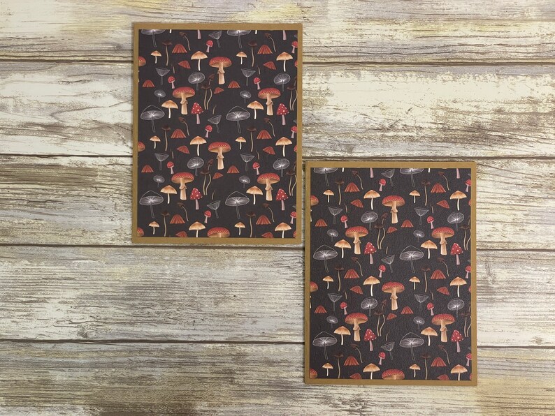 Mushroom Cards Note Card Set With Envelopes Nature Note | Etsy