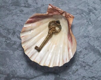 The Mythology and Folklore of Magical Plants / Digital Lecture - Etsy