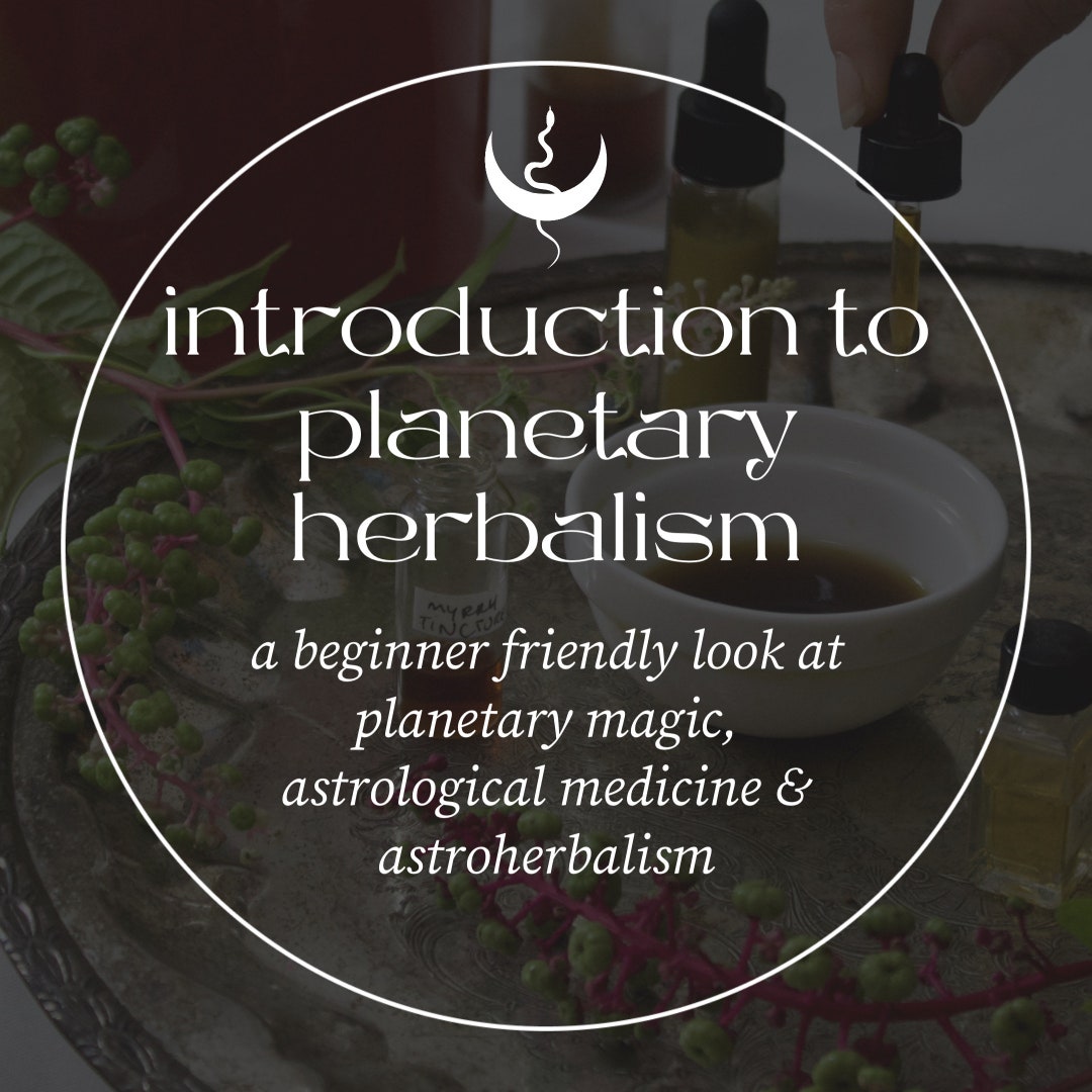 Introduction to Planetary Herbalism / Digital Lecture - Etsy