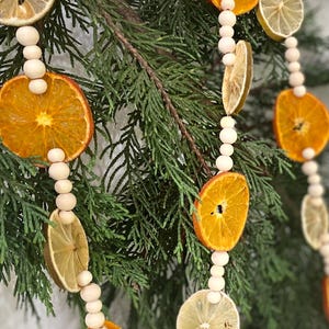 Citrus Garland 6ft - Etsy