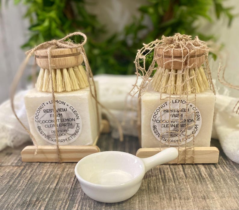 Dish Soap Block Gift Set Coconut Lemon Clean Earth - Etsy