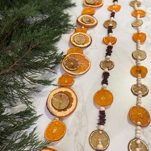 Citrus Garland 6ft - Etsy